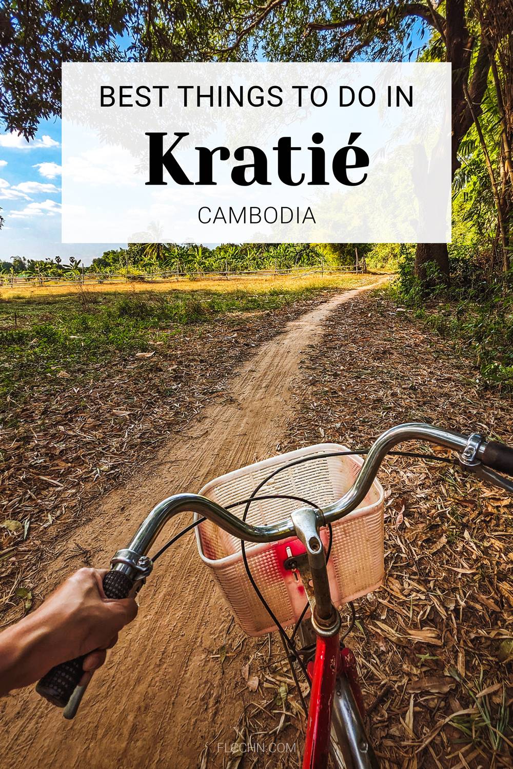 Top 8 Things to Do and See in Kratié | Felicia C