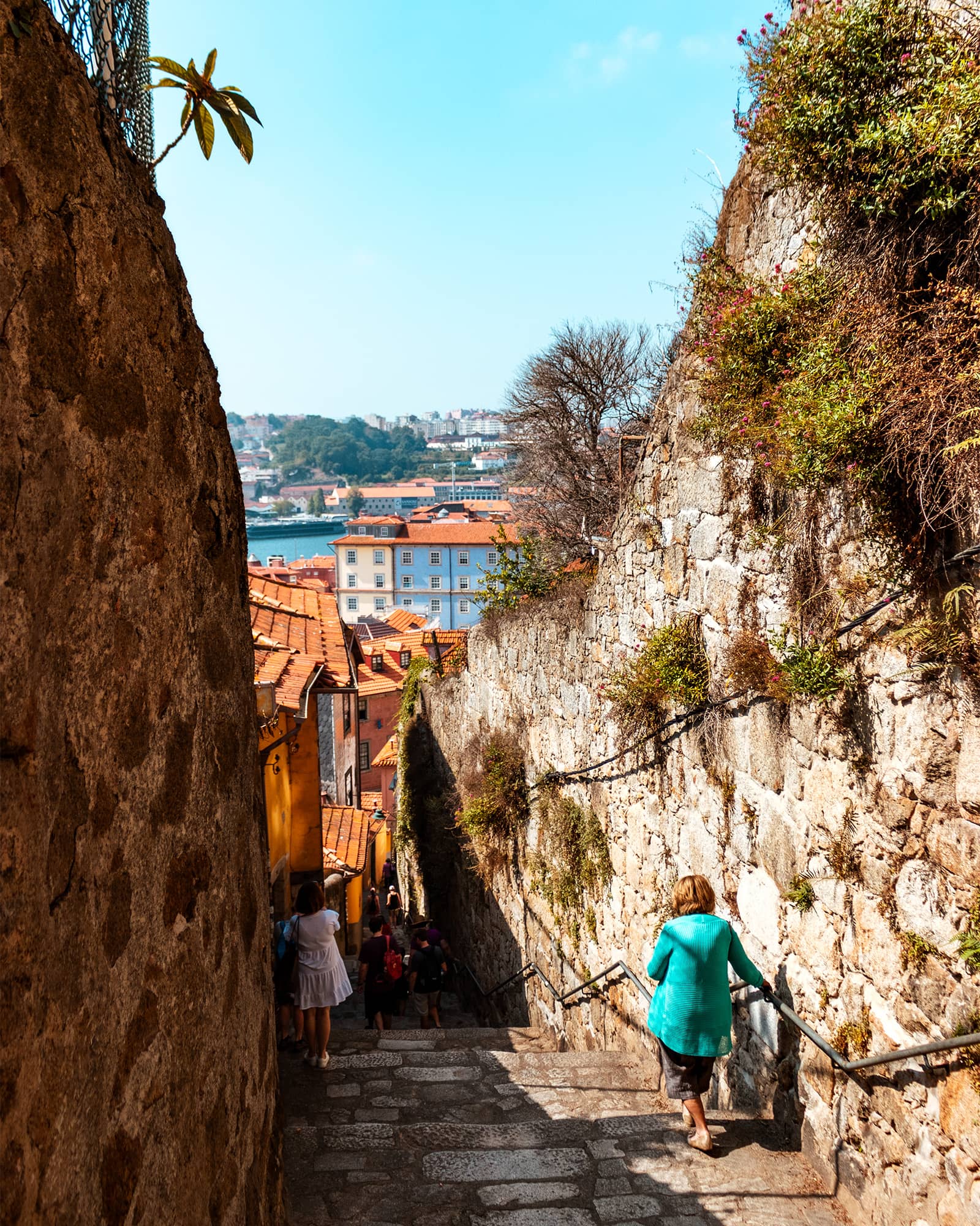 Perfect One Day in Porto Itinerary: Everything to See & Eat